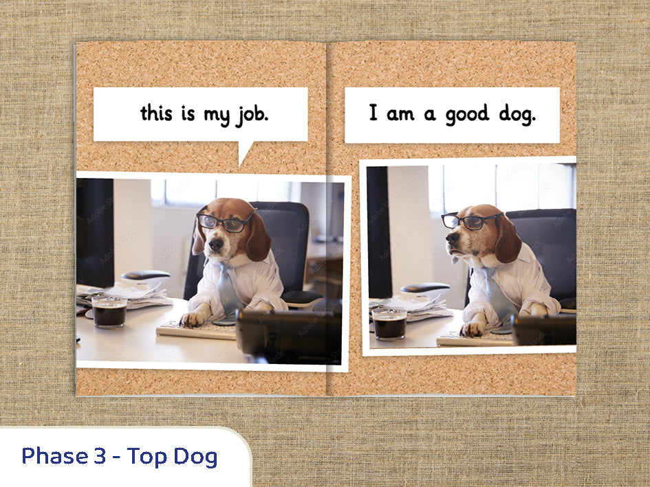 Phase 2-3 Story Books (PRE-ORDER) – Anima Phonics